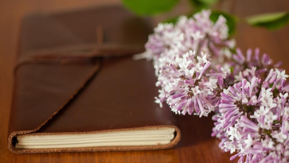 Digital vs Paper Journaling: The Ultimate Showdown