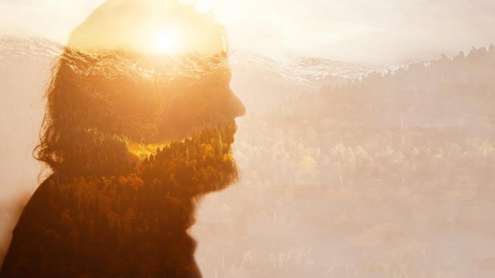 13 Revolutionary Ways to Change Your Mindset 13 Revolutionary Ways to Change Your Mindset
