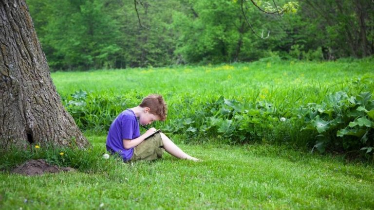 What Is Nature Journaling? Experience the Wonders of Nature
